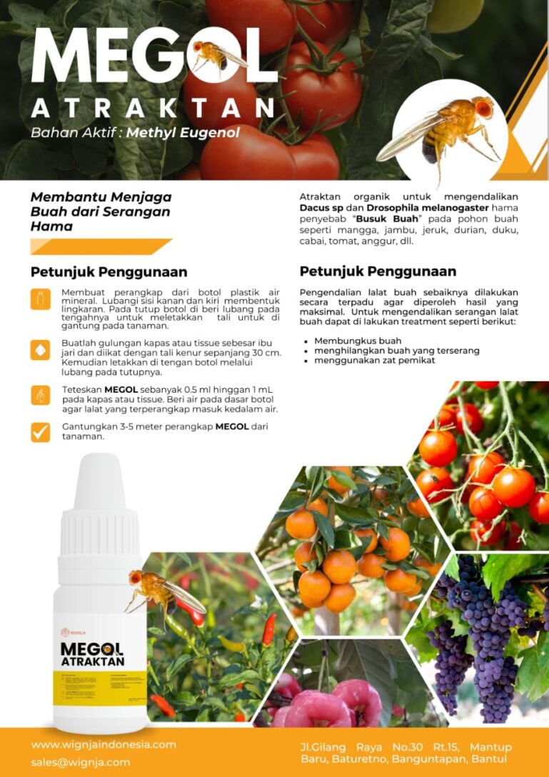 Megol Atraktan : Biopest untuk lalat buah